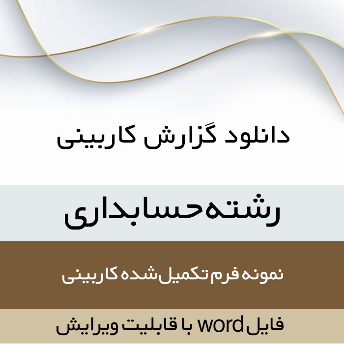 دانلود گزارش کاربینی حسابداری نمونه فرم آماده و تکمیل شده کاربینی